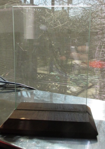 “The Looking Glass:” A Modern Answer Besides Your Nose – HARLAN DIDRICKSON